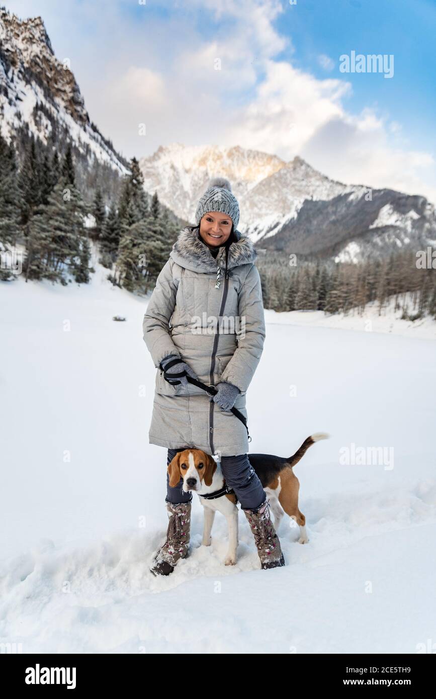 Beagle dog first time on snow with owner Stock Photo - Alamy