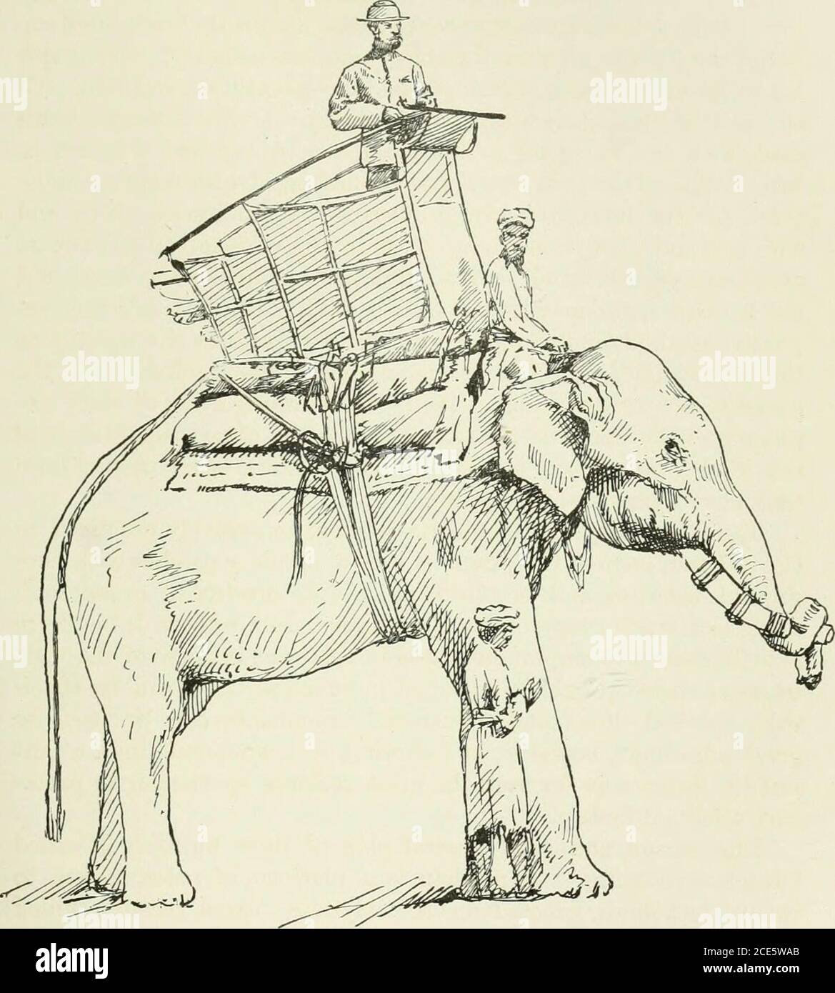 . Two years in the jungle : the experiences of a hunter and naturalist ...