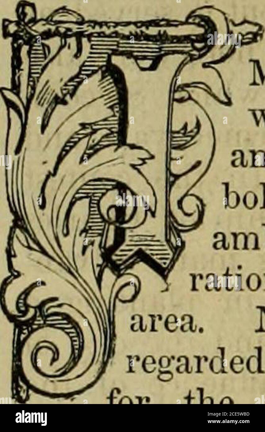 Warlike operations hi-res stock photography and images - Alamy