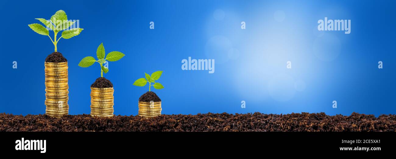 Growth symbol hi-res stock photography and images - Alamy