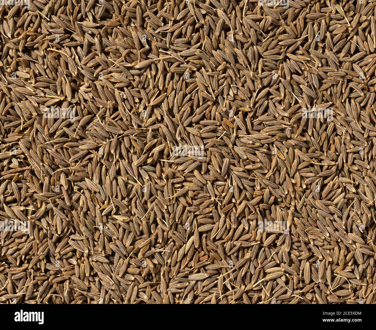 Cumin on the whole screen as background Stock Photo - Alamy