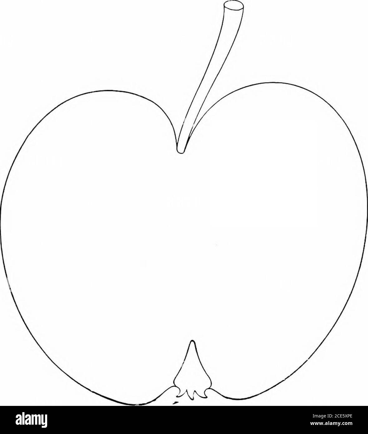 Mixed fruit orchard Black and White Stock Photos & Images - Alamy