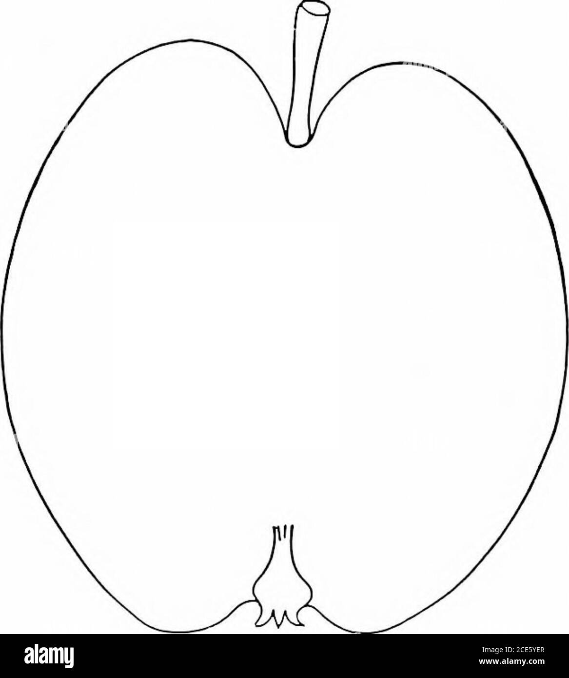 Slightly conical Black and White Stock Photos & Images - Alamy