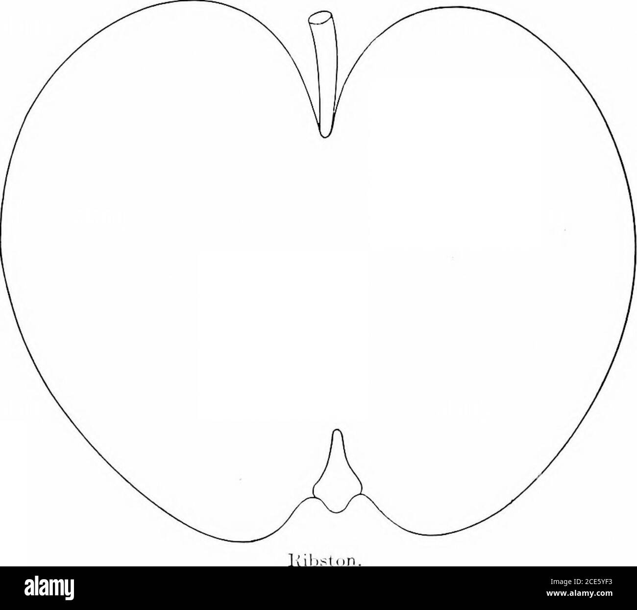 Faint s shaped Cut Out Stock Images & Pictures - Alamy