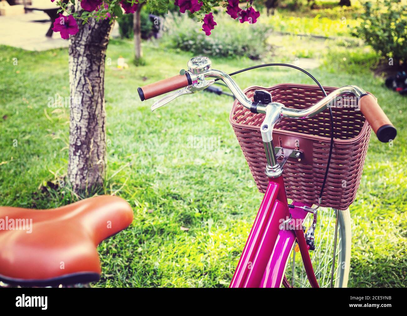 Violet bike hi-res stock photography and images - Alamy