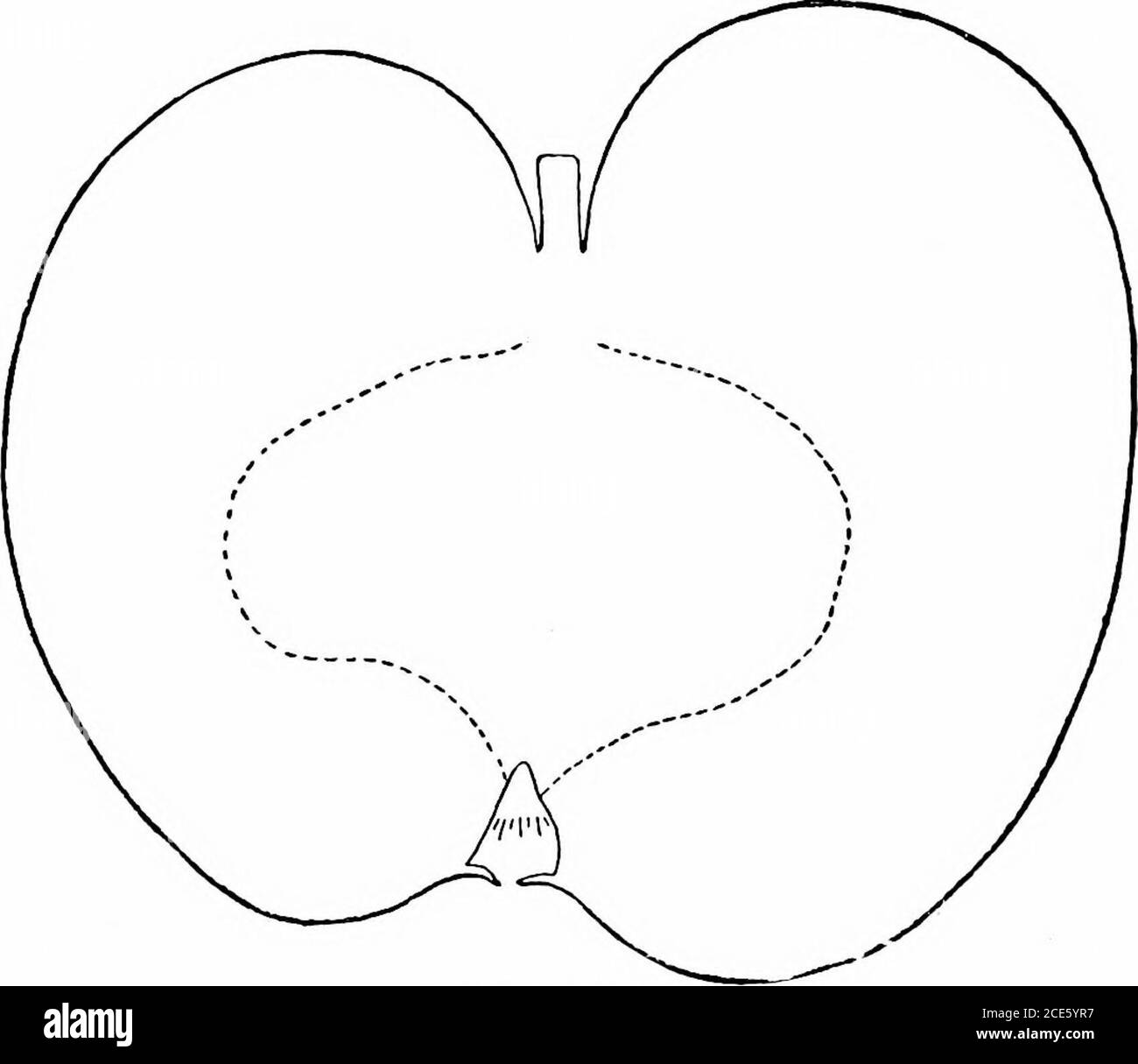 Drooping fruit Black and White Stock Photos & Images - Alamy