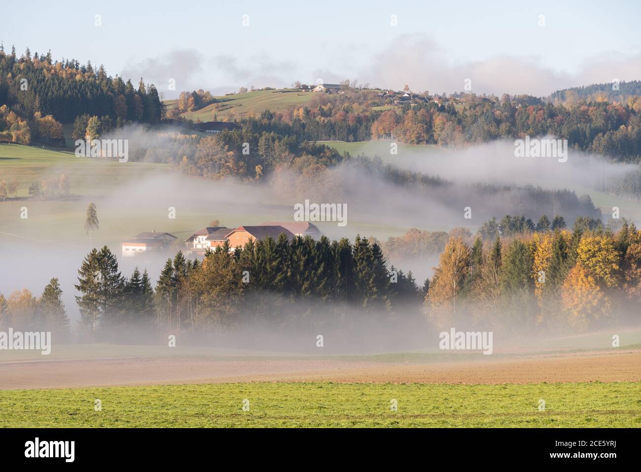 glowing hills of the Bohemian Forest from various fog fields Stock ...