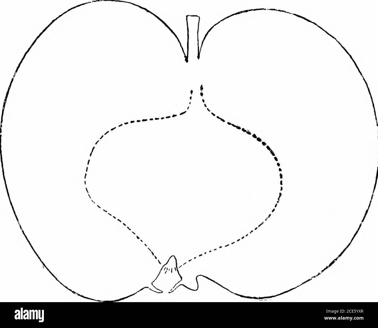 Num num fruit Black and White Stock Photos & Images - Alamy