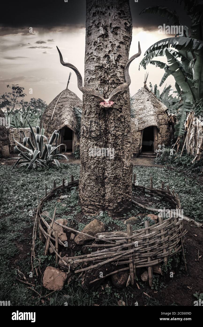 elephant-shaped huts in Dorze Village, Ethiopia Stock Photo - Alamy