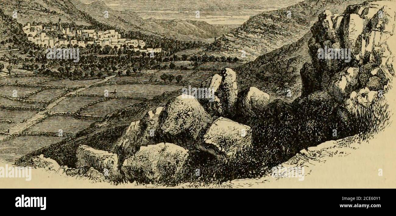 Dannie Riel Import Bible Photoshoot