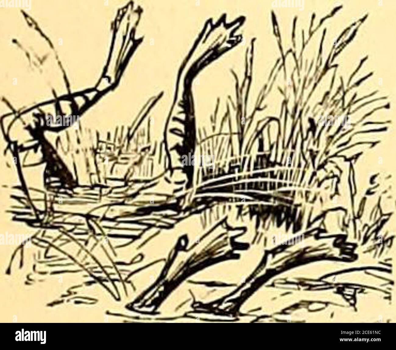 Lar alphabet hi-res stock photography and images - Alamy