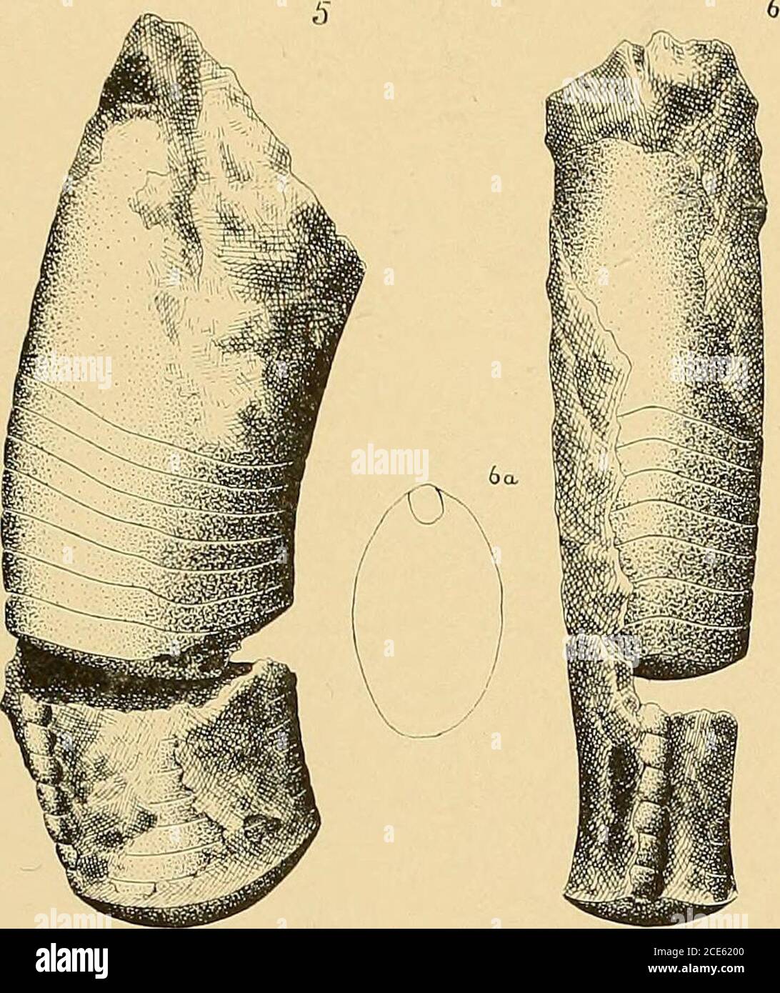 Bookidgeologyofmin hi-res stock photography and images - Alamy
