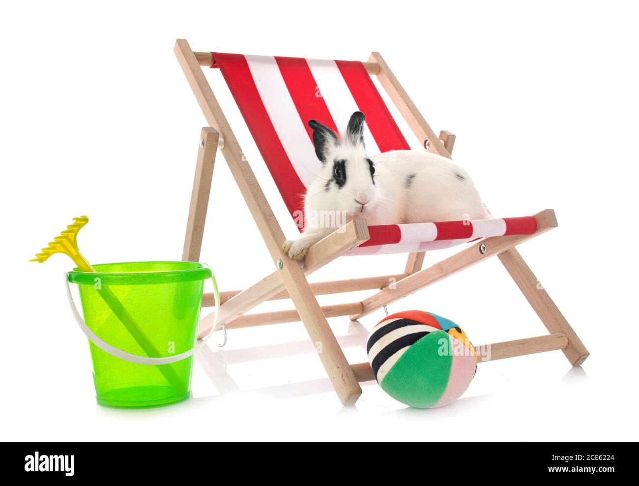 English Spot Rabbit High Resolution Stock Photography and Images - Alamy