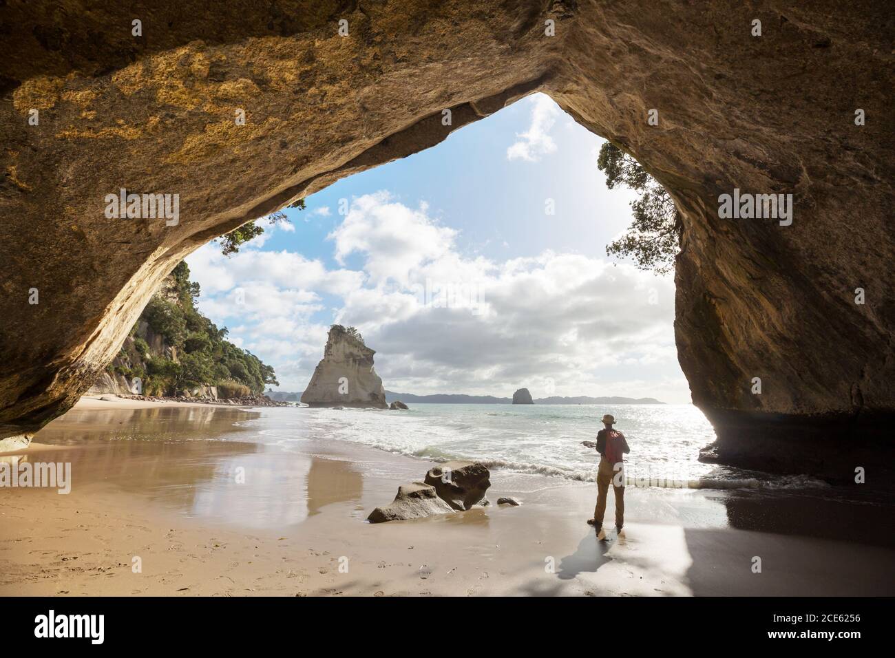 Unusual Cathedral Cove, Coromandel Peninsula, New Zealand Stock Photo ...