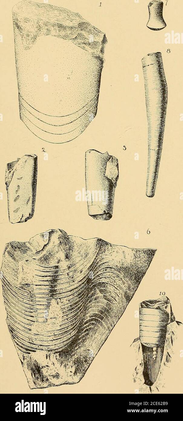 . The Geology of Minnesota . hamber.Trenton horizon, Minneapolis. Fig ...