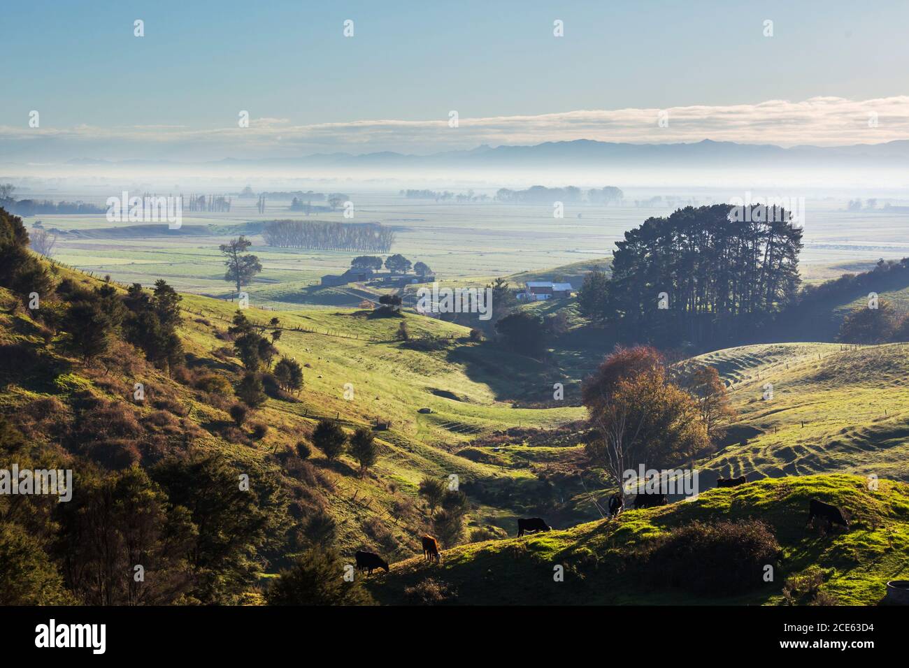 New zealand hills hi-res stock photography and images - Alamy