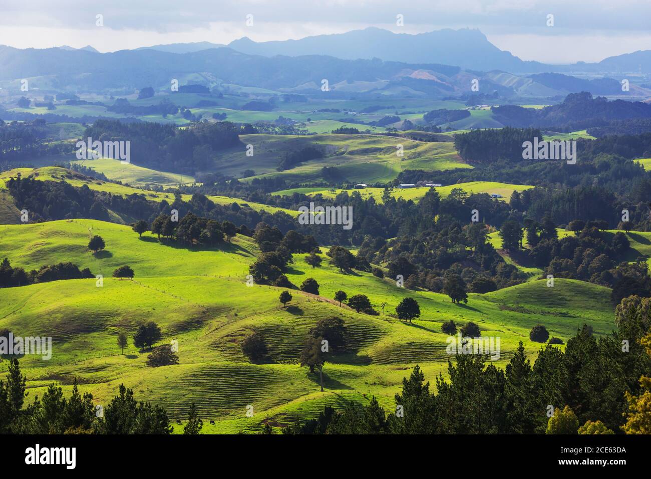 New Zealand hills Stock Photo - Alamy