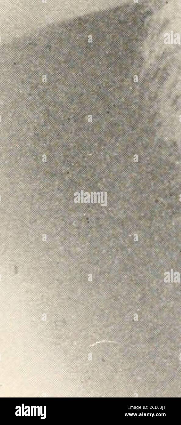 . The history of the Brigham family; a record of several thousand ...