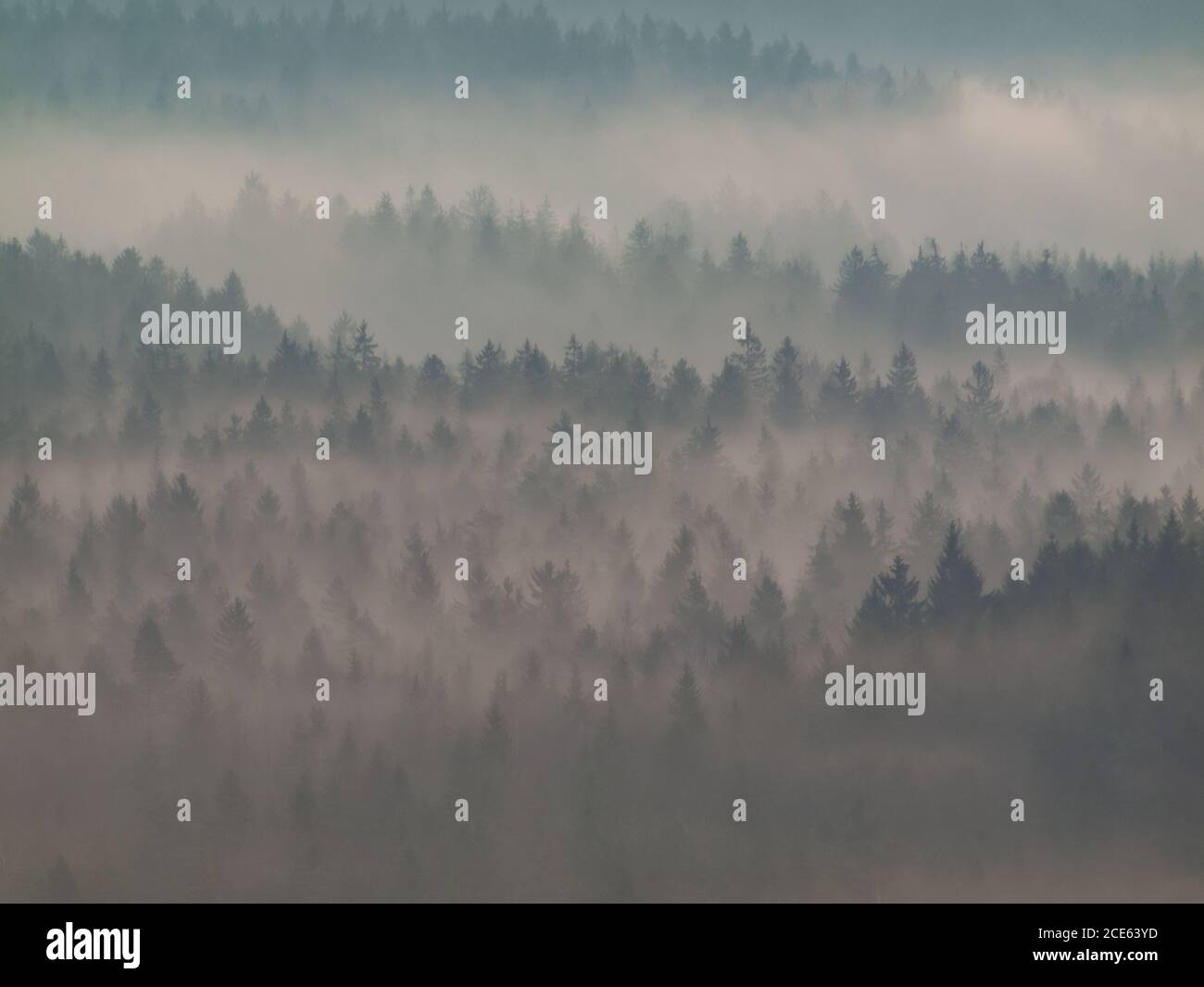 Blue green mist cover landscape, Sun in mist Stock Photo - Alamy