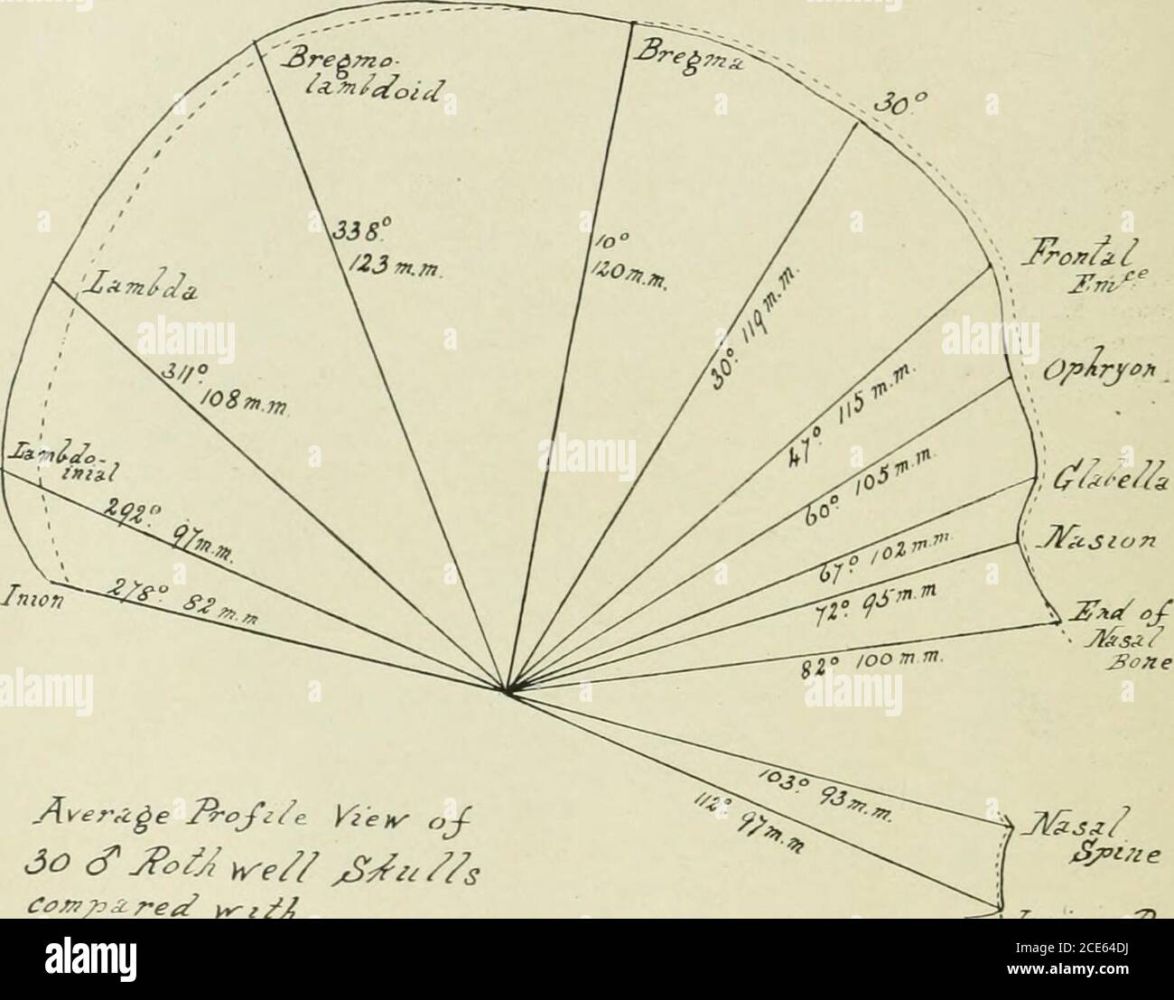 . Journal of anatomy . the auricular height craniometer, bymeans of ...