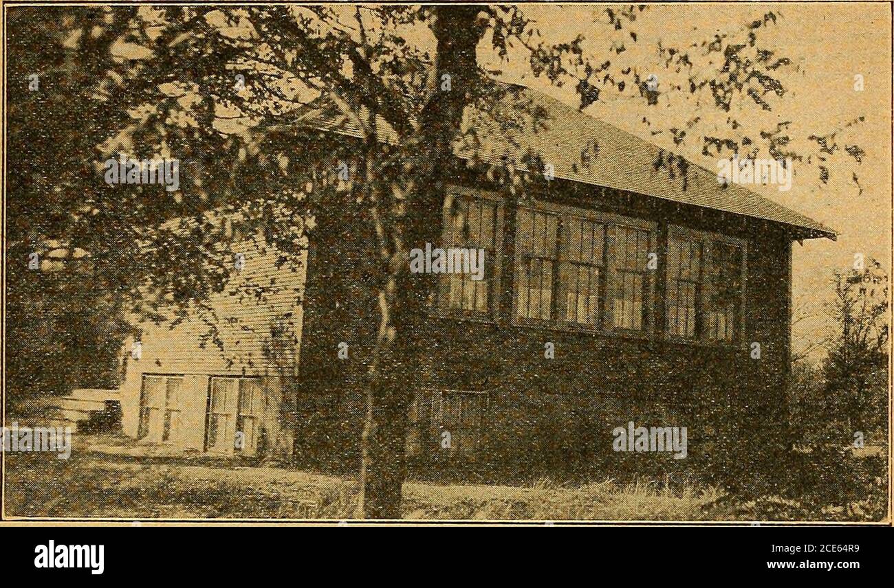 Mgauringarrowheadsmodern