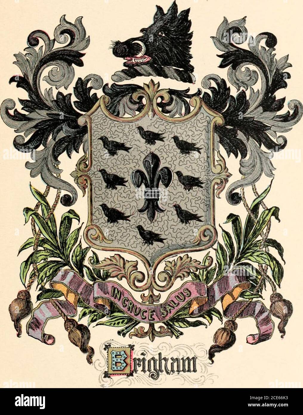 . The history of the Brigham family; a record of several thousand ...