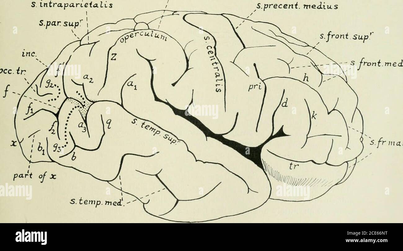 Bridgin hi-res stock photography and images - Alamy
