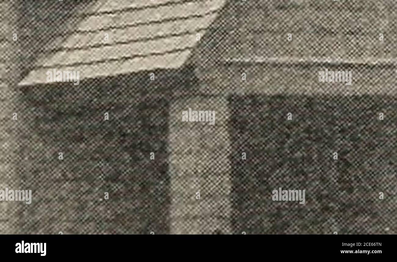 . The upward path : the evolution of a race . Womens Bible Training ...