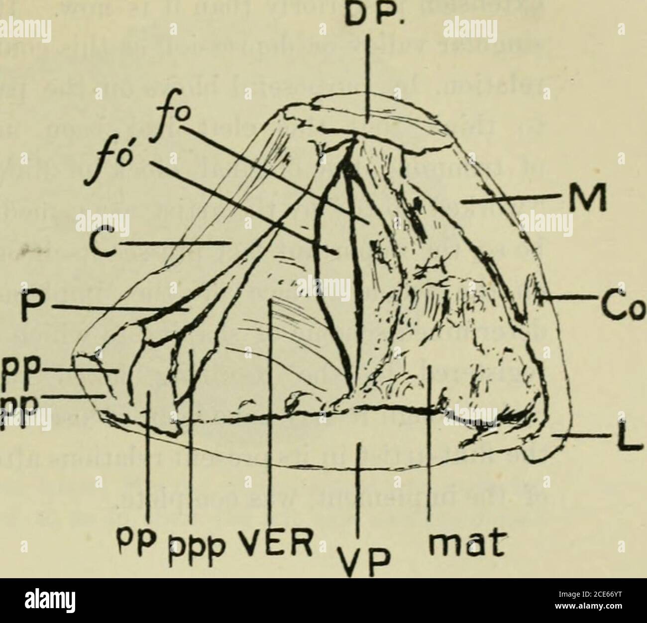 Fracture letters hi-res stock photography and images - Alamy