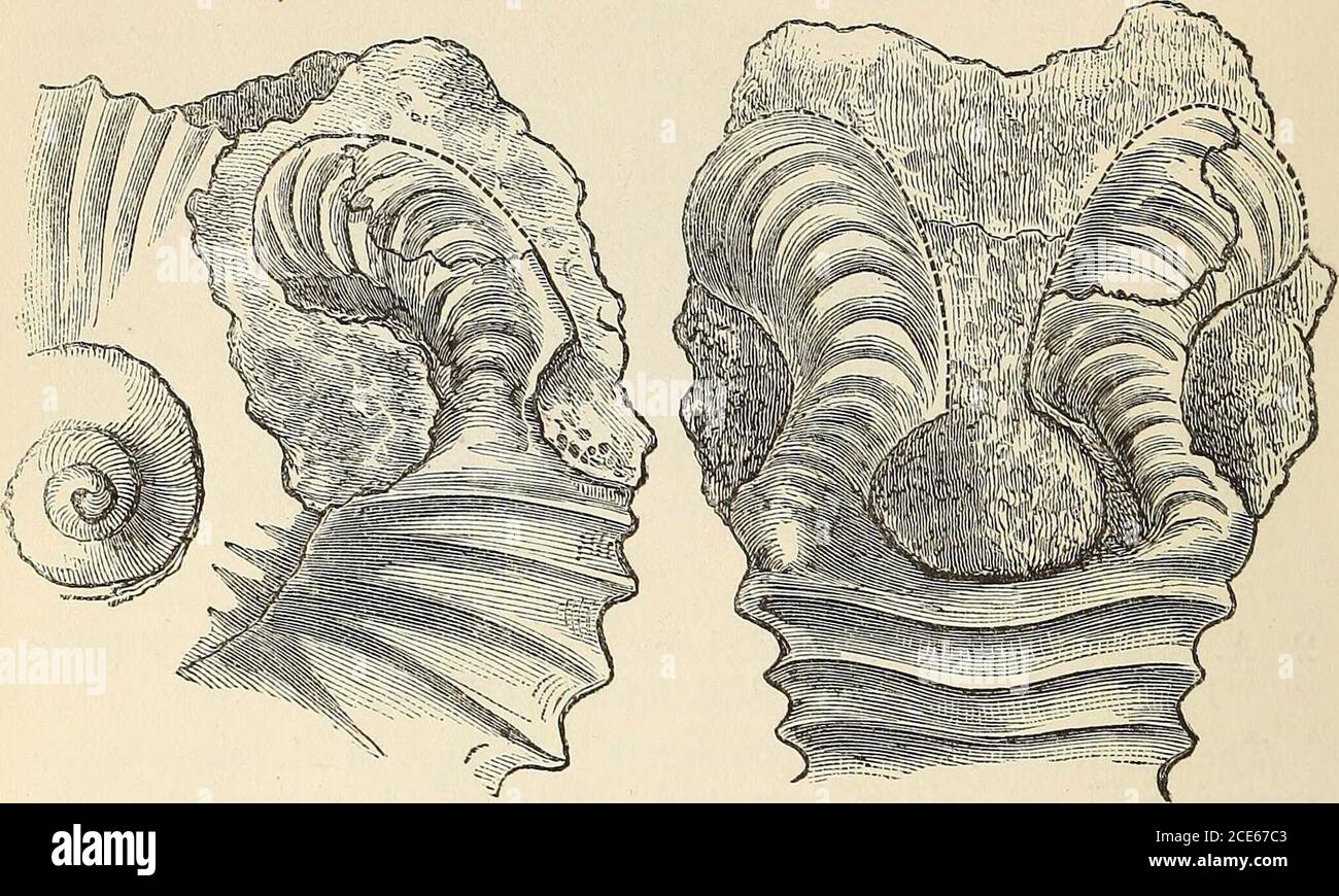 Bradford abbas hi-res stock photography and images - Alamy