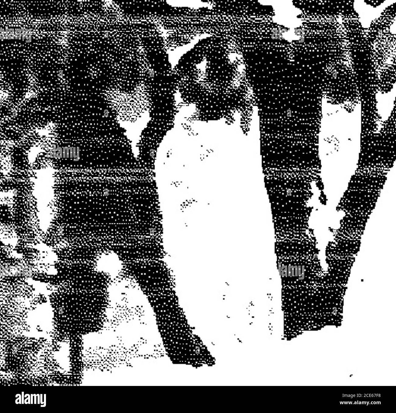 . The War Cry Stock Photo - Alamy