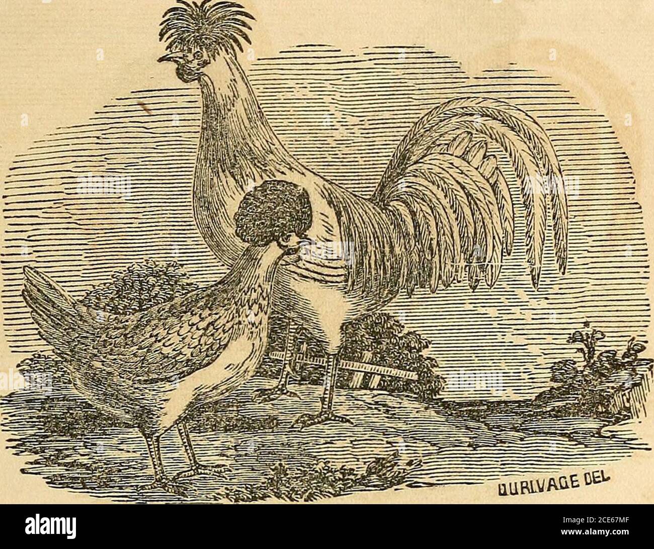 Joseph j sup hi-res stock photography and images - Alamy