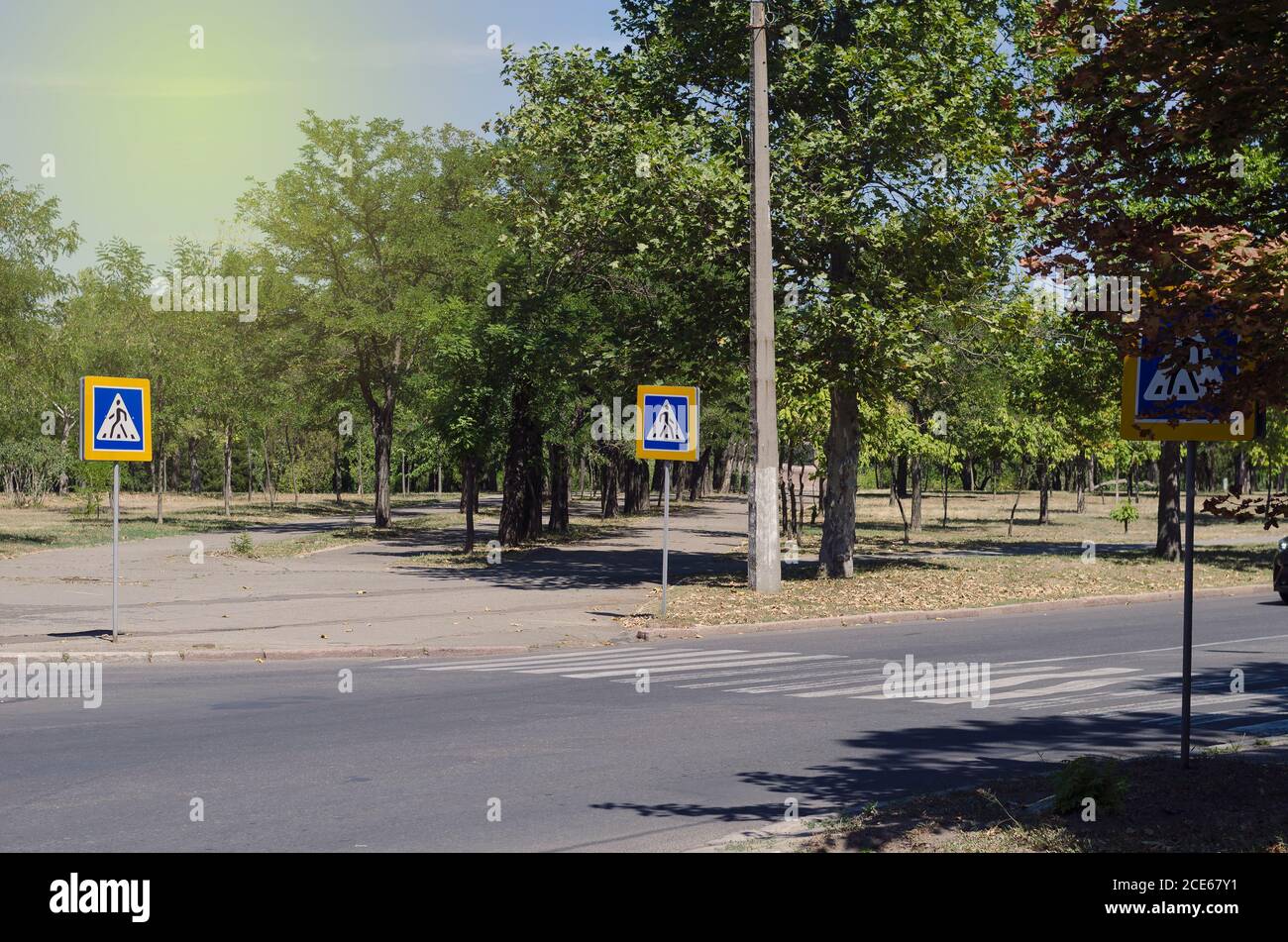 Empty city crossroads on a sunny summer day. Pedestrian crossings and ...