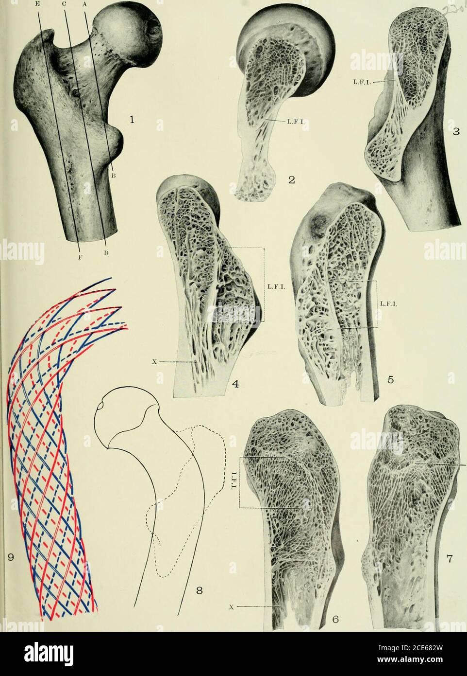 Inner wards hi-res stock photography and images - Alamy