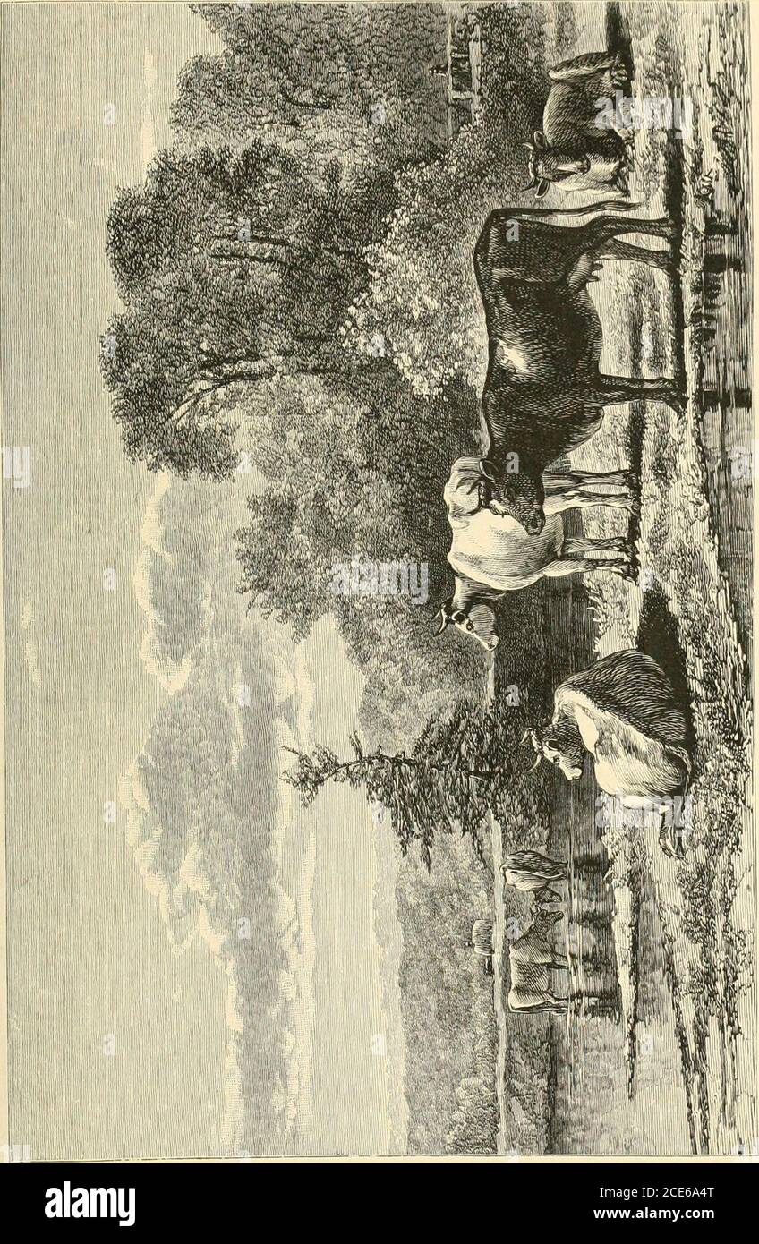 . American painters: with eighty-three examples of their work engraved ...