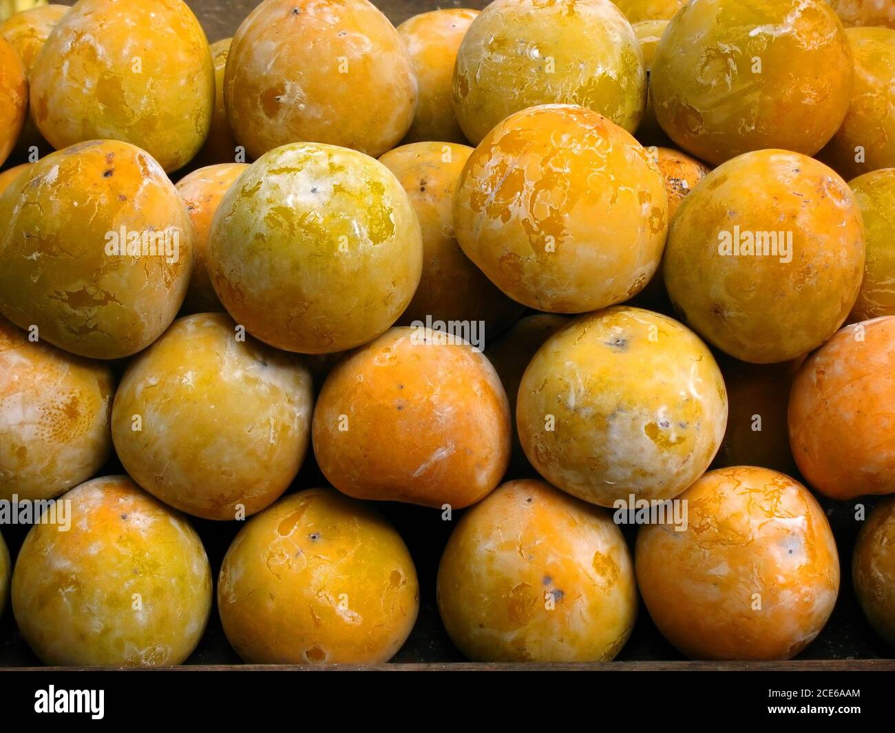 -- this particular kind is also called Water Persimmon Stock Photo - Alamy