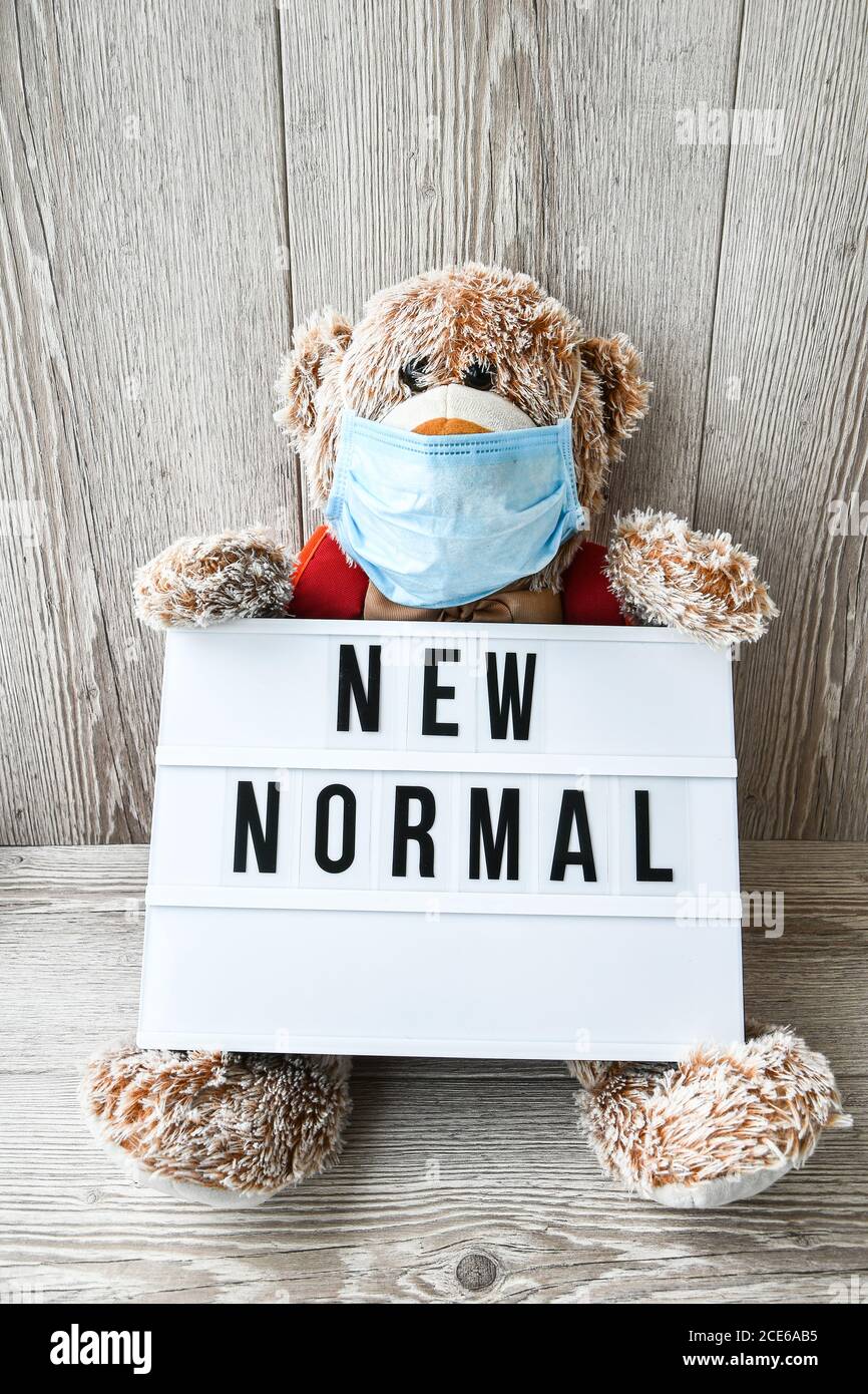 Teddy bear doll wearing mask backpack and holding lightbox with text ...