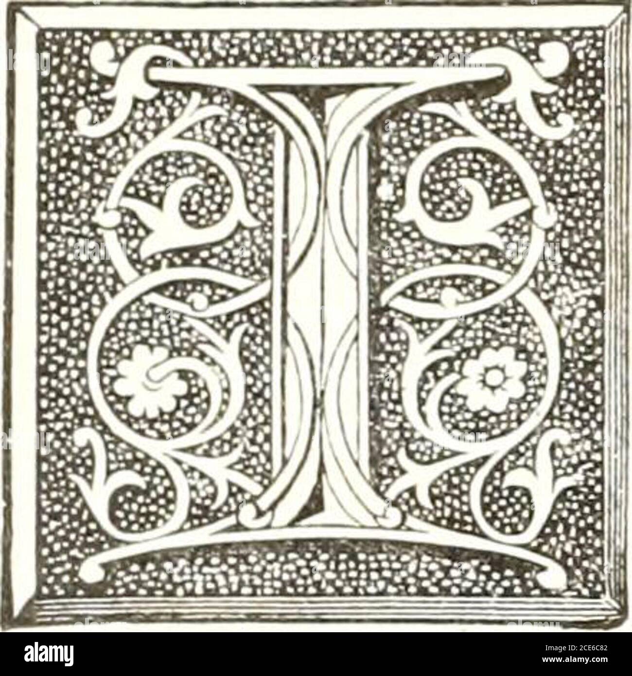 Zealous evolution hi-res stock photography and images - Alamy