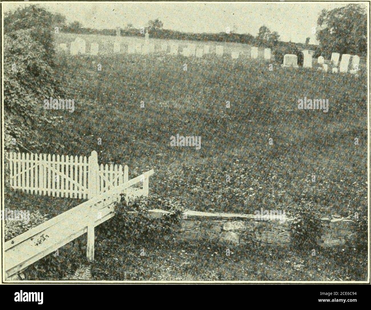 Emily deming hi-res stock photography and images - Alamy