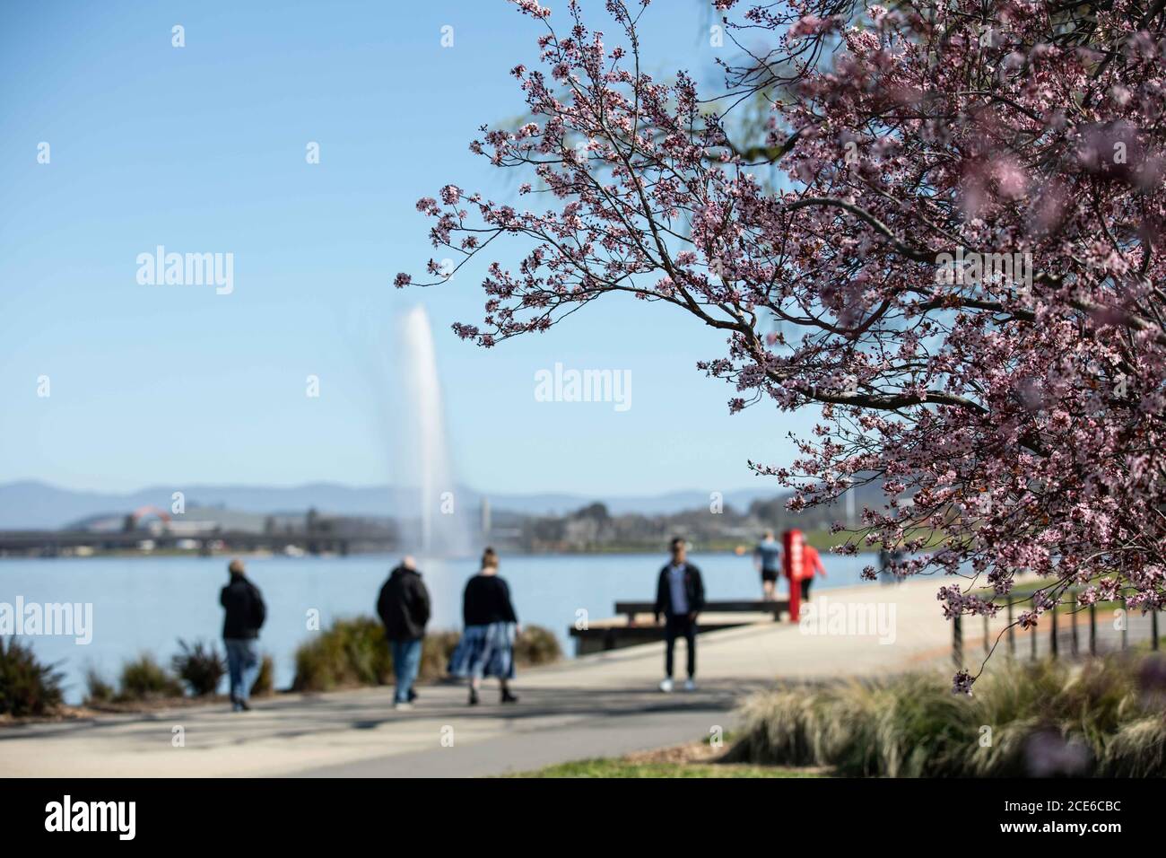 Canberra, Australia. 29th Aug, 2020. People spend their leisure time by ...