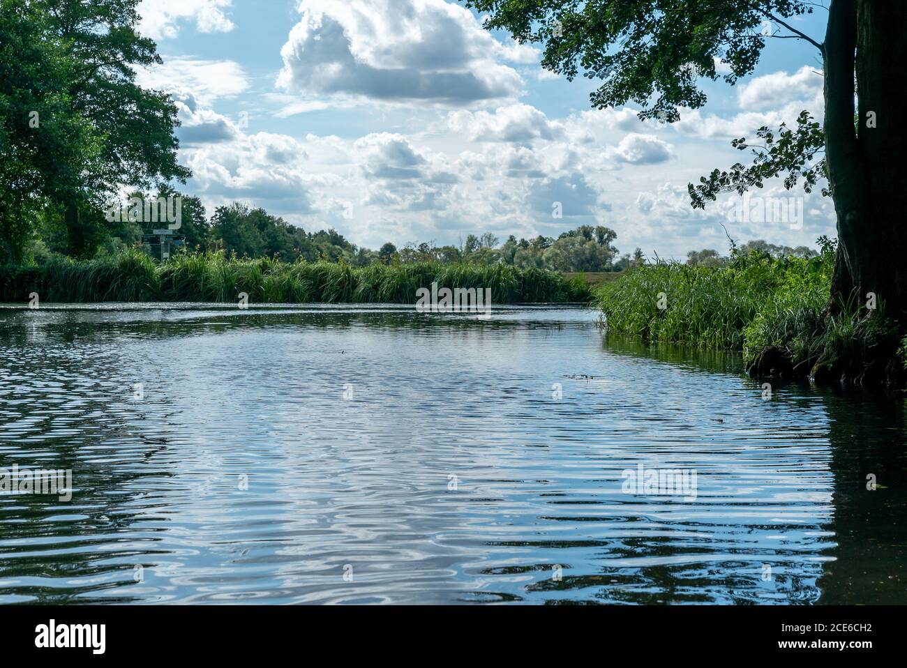 A view of the canals and channels of the Spreewald forest and river ...