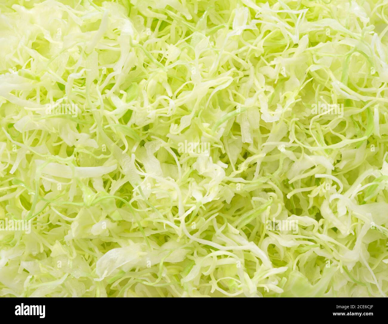 Up of shredded cabbage on the whole screen Stock Photo - Alamy