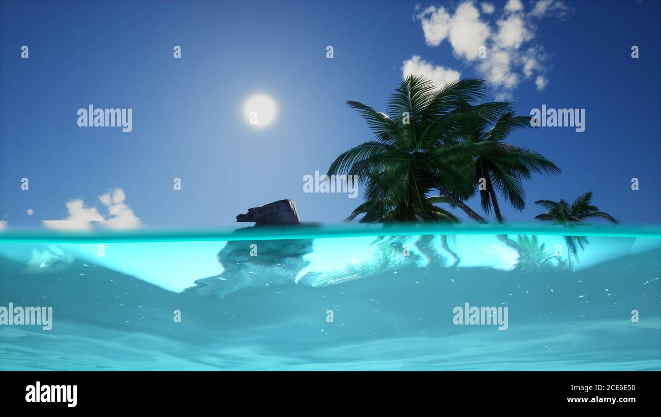 Split view cross section of sea water and palm trees on Island Stock ...