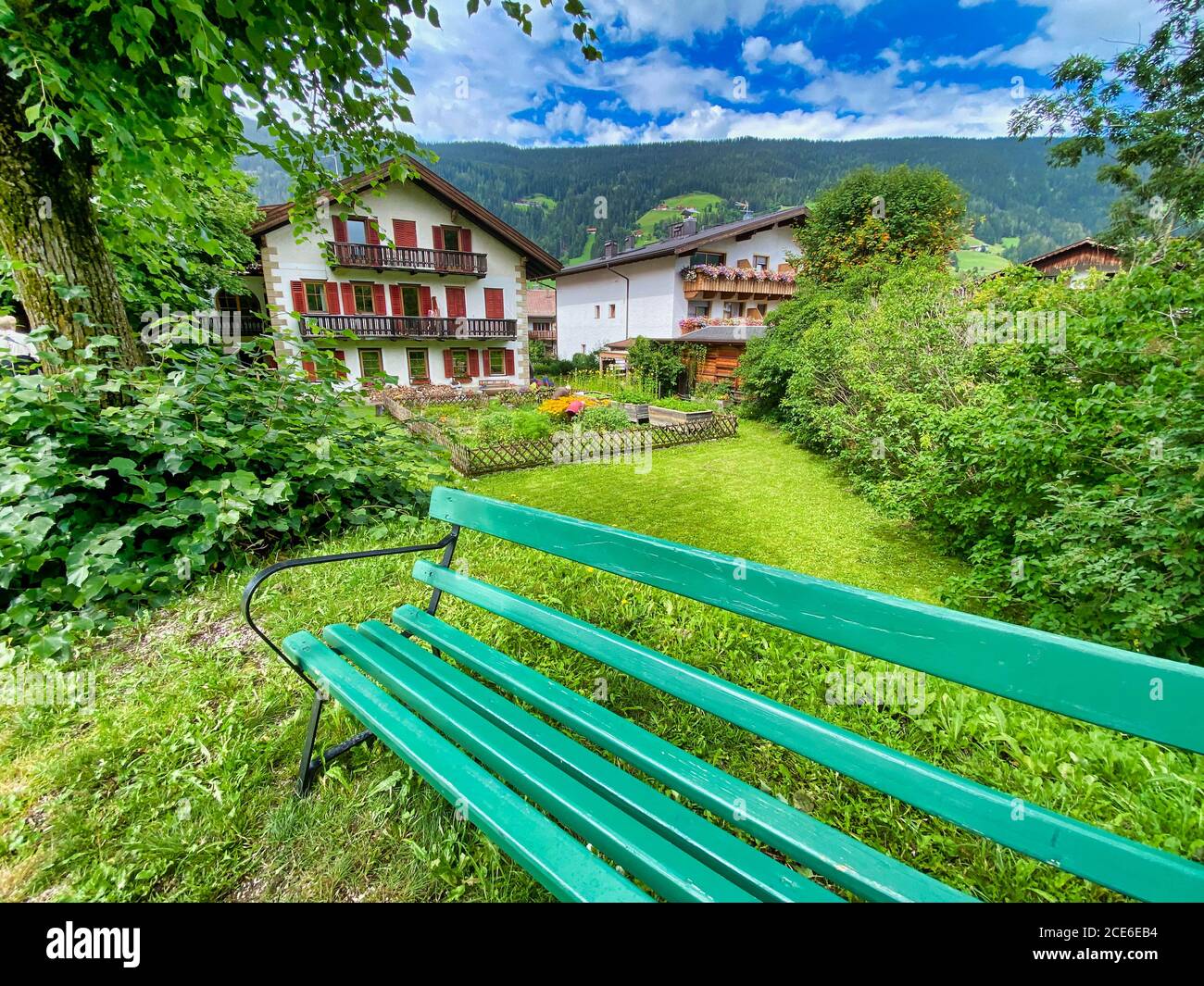 Beautiful bench along the forest, Italian Alps Stock Photo - Alamy