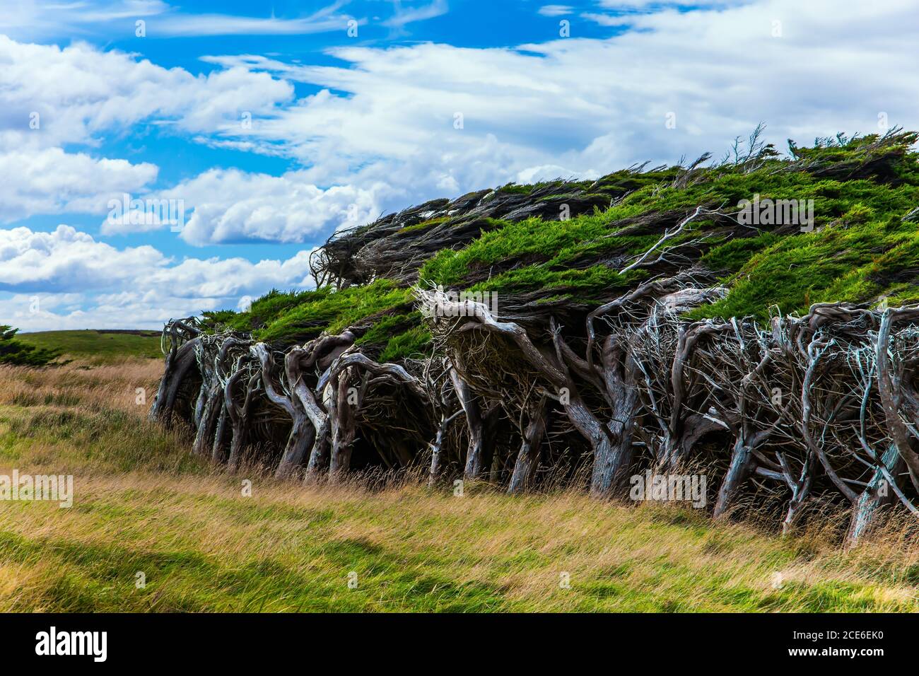 Windy horizontal hi-res stock photography and images - Alamy