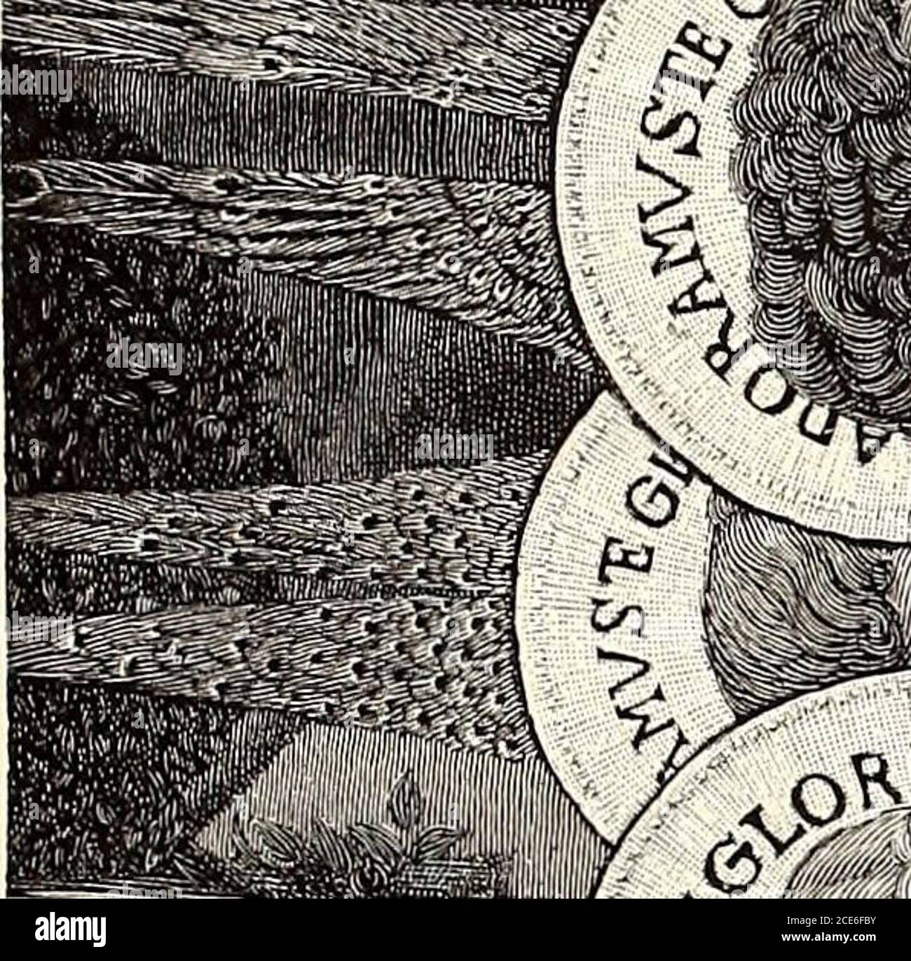 Benozzo gozzoli angels hi-res stock photography and images - Alamy