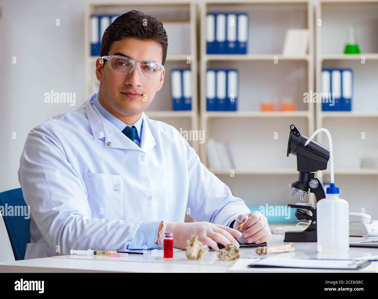 The paleontologist looking at extinct animal bone Stock Photo - Alamy