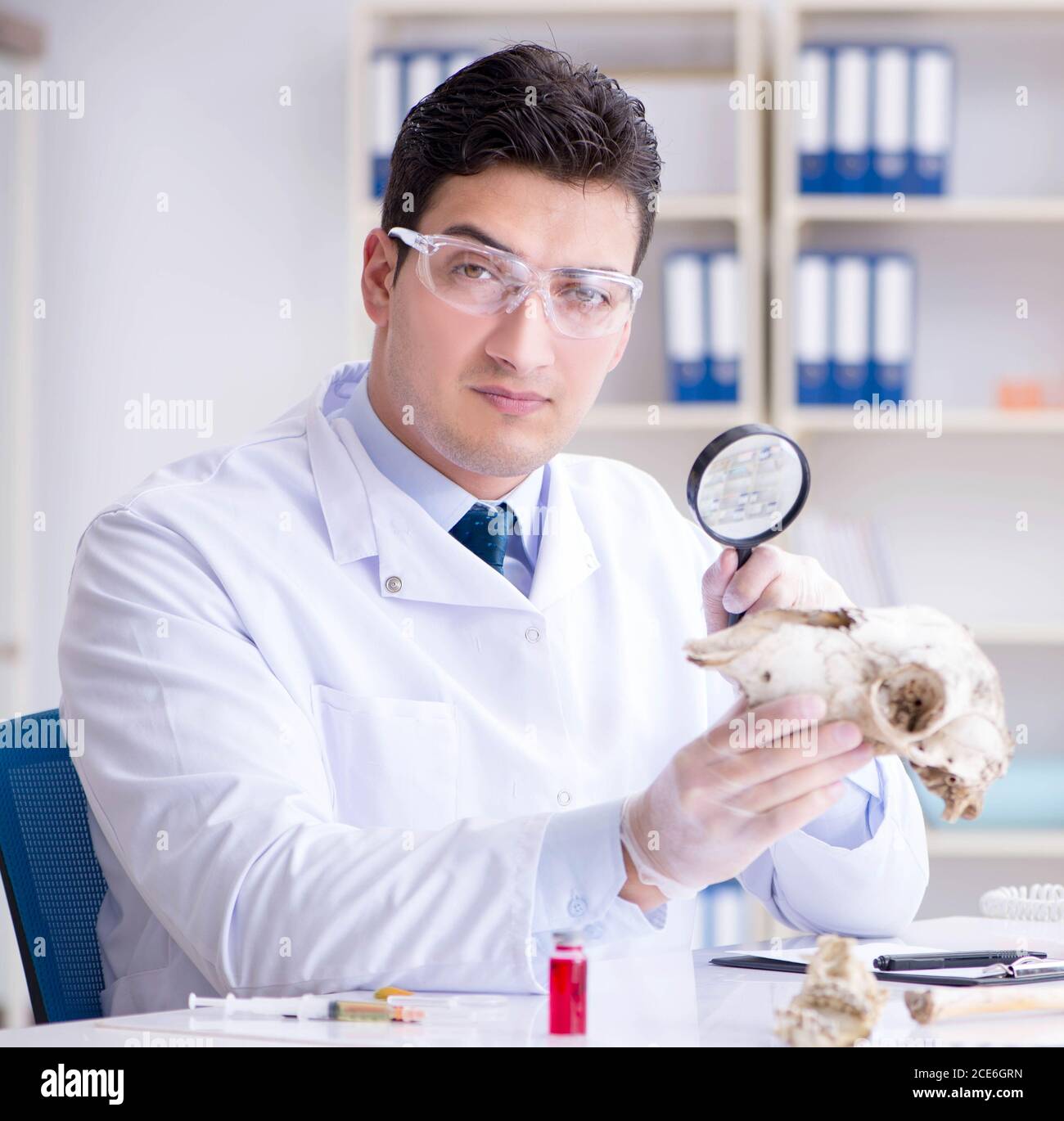 The paleontologist looking at extinct animal bone Stock Photo - Alamy