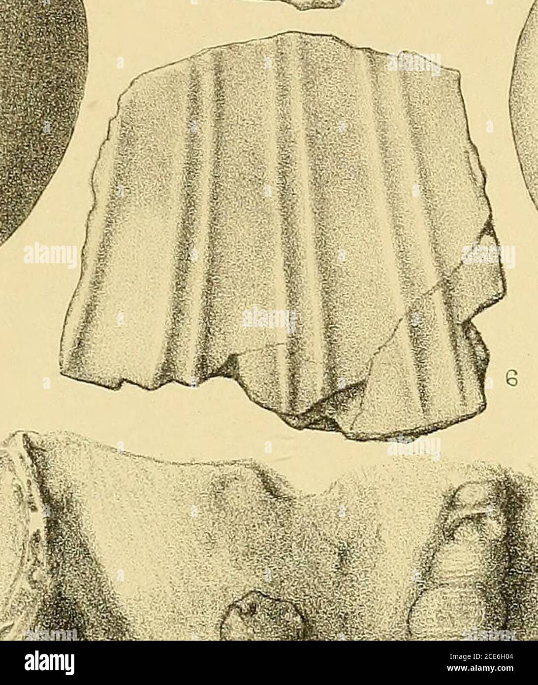 . Geological magazine . ,/ t3 .-*S- J. i^? ^- V -^j^i^ >:i GM.WoodwBri ...