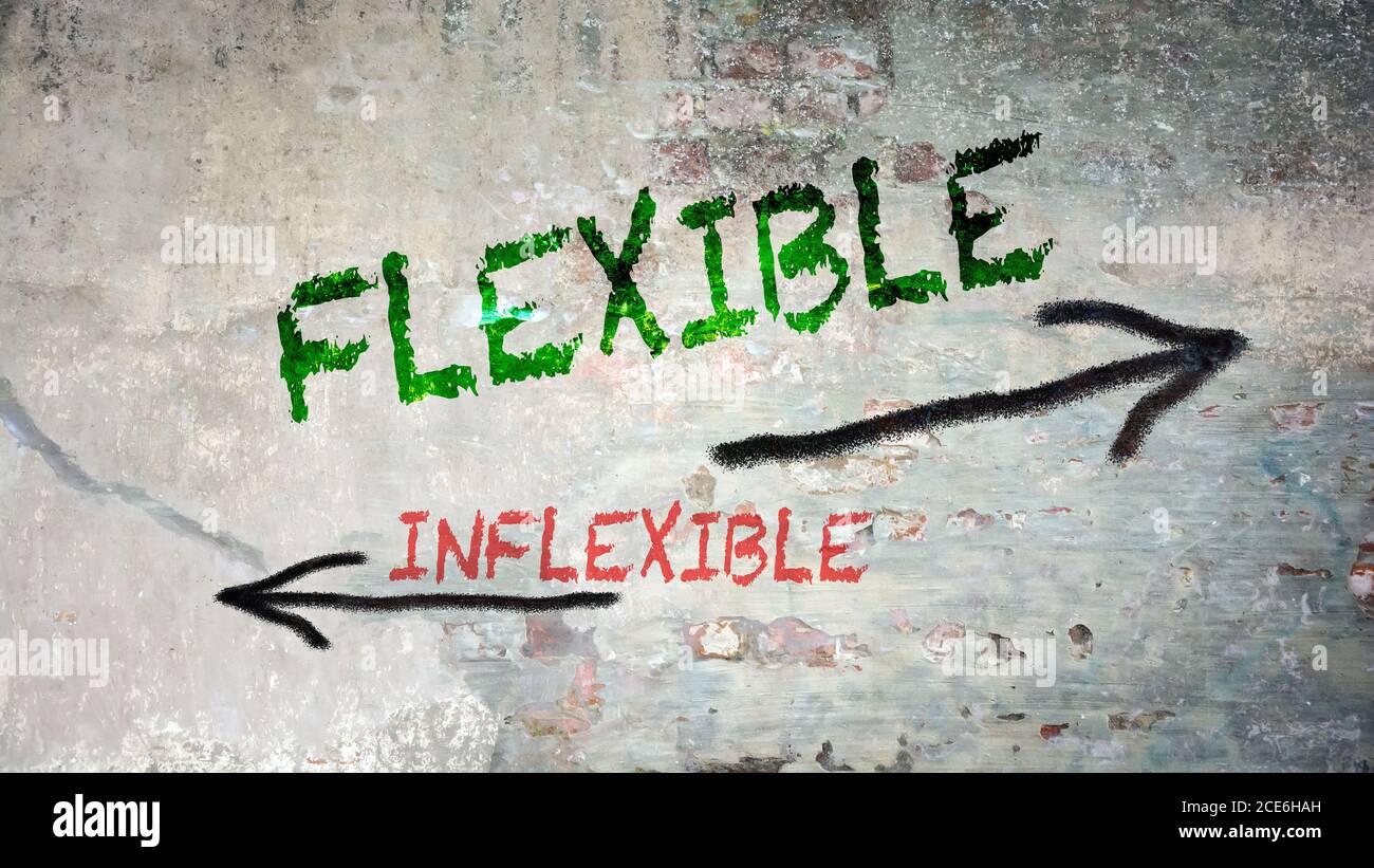 Street Sign the Direction Way to Flexible versus Inflexible Stock Photo ...